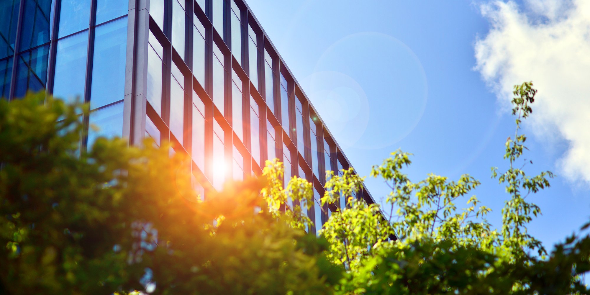 NUF vs. AS — Choose the right business structure in Norway